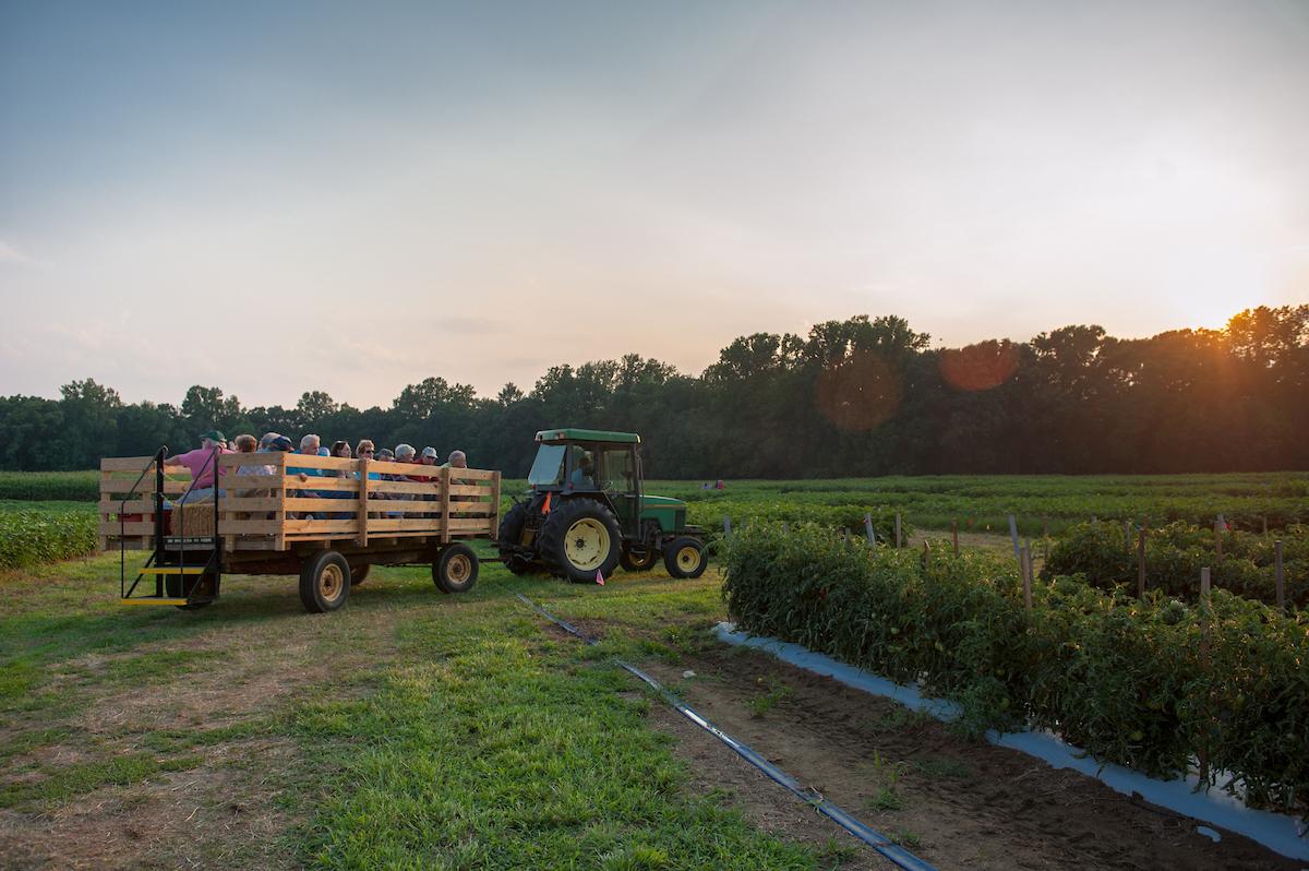 Redirecting to https://extension.umd.edu/resource/farm-succession-coordination